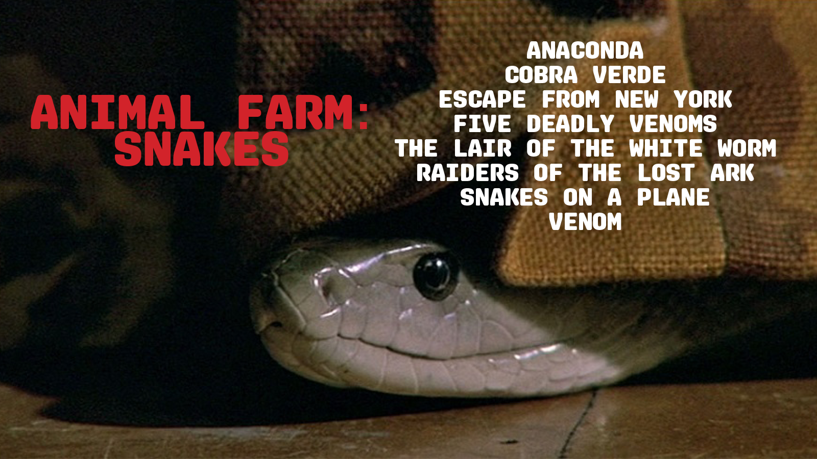 Animal Farm: Snakes - Metrograph
