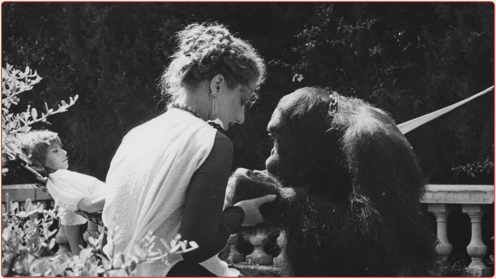 Futures and Pasts: The Mafu Cage - Journal - Metrograph