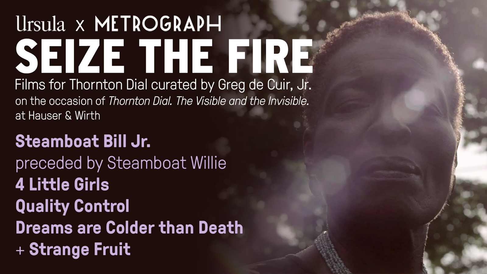 Ursula x Metrograph | Seize the Fire: Films for Thornton Dial curated ...