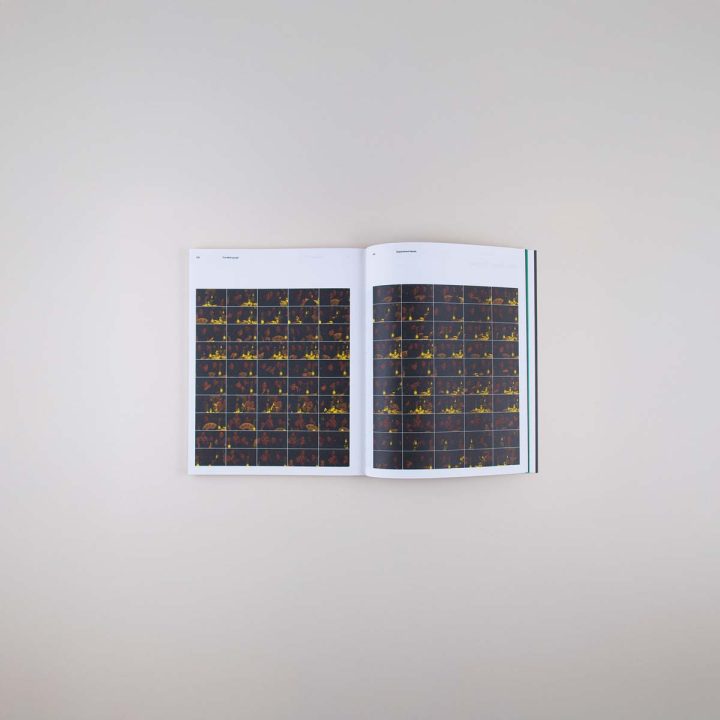 The Metrograph Magazine - Metrograph